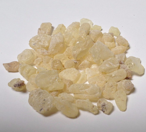 Copal Mexico - Cavazos